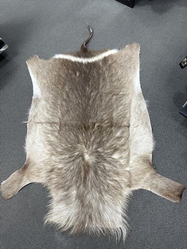 WATERBUCK FULL SKIN HIDE - Safari Firearms
