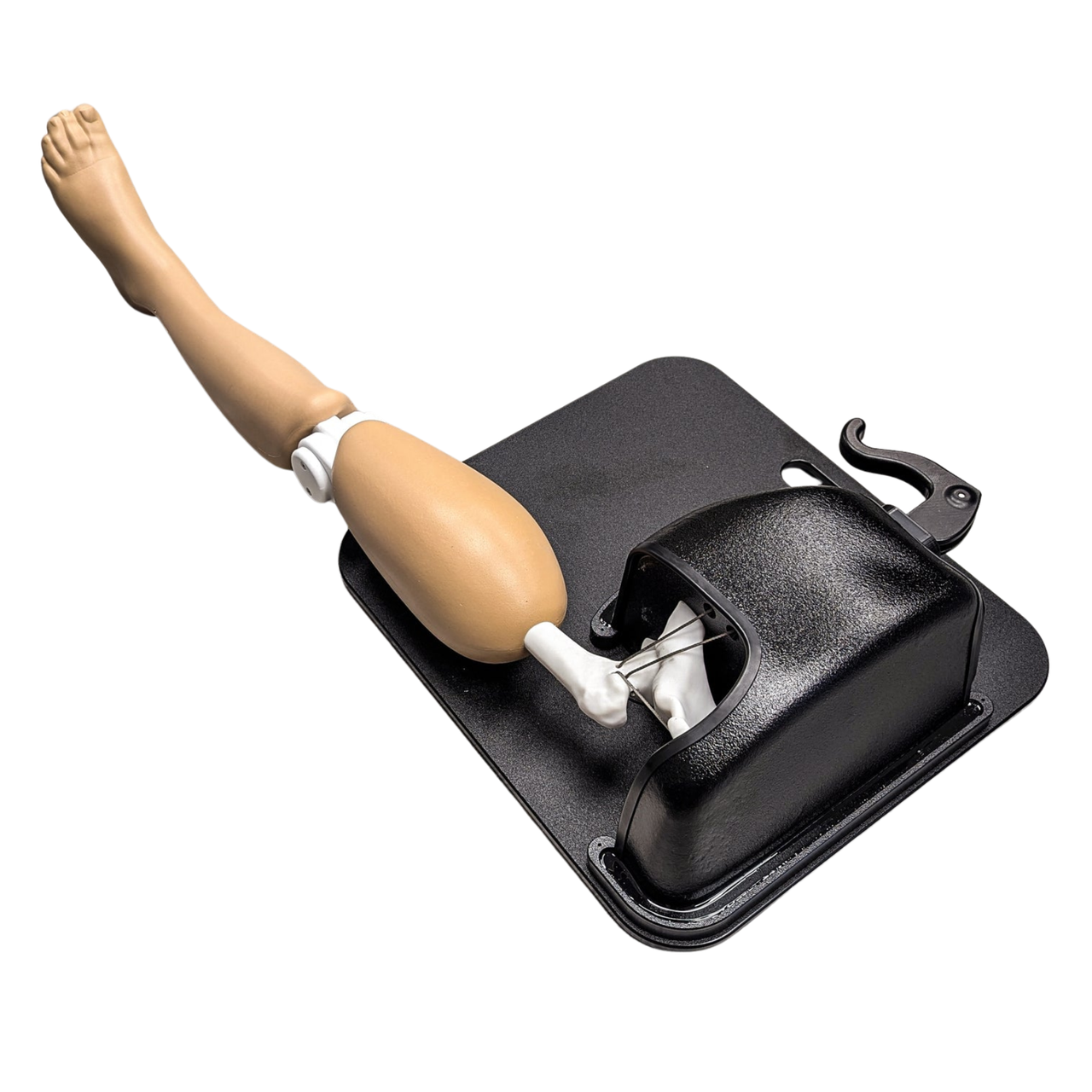 Hip Dislocation Simulator – Realistic Joint Reduction Training Model ...