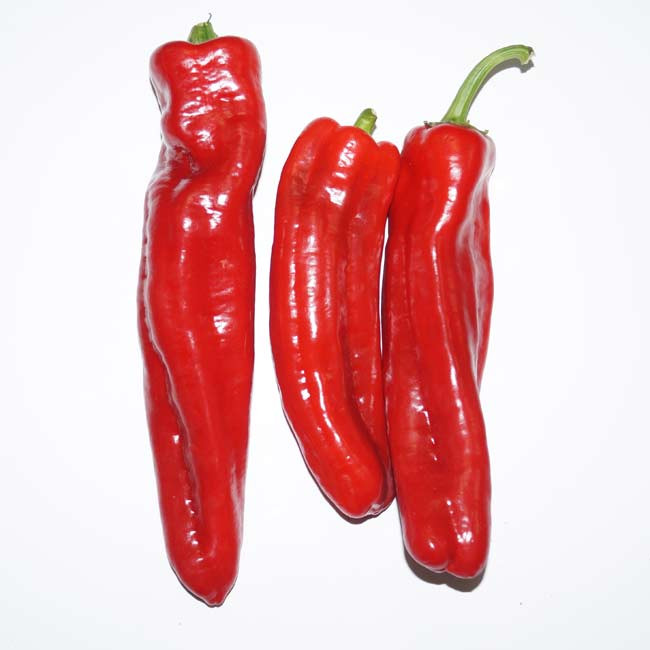 Fresh Long Red Pepper