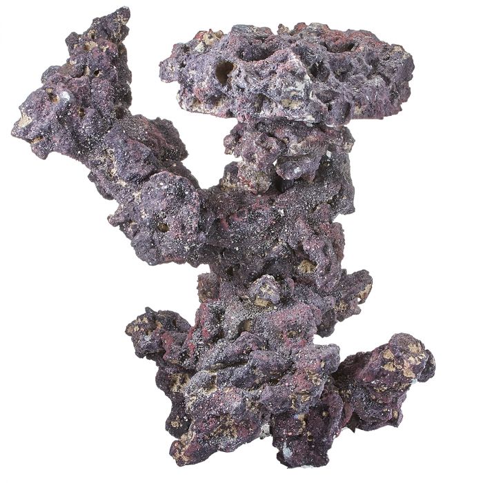 CaribSea Life Rock Coral Tree Kit - Tropestua