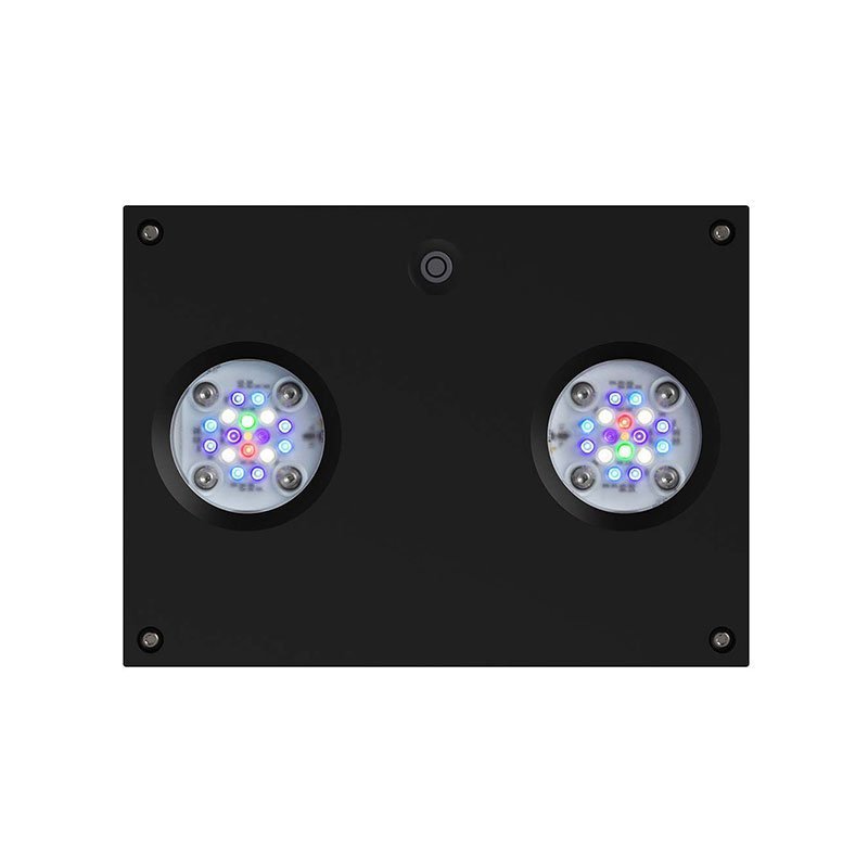AI Hydra 32 HD LED Light Black - Tropestua