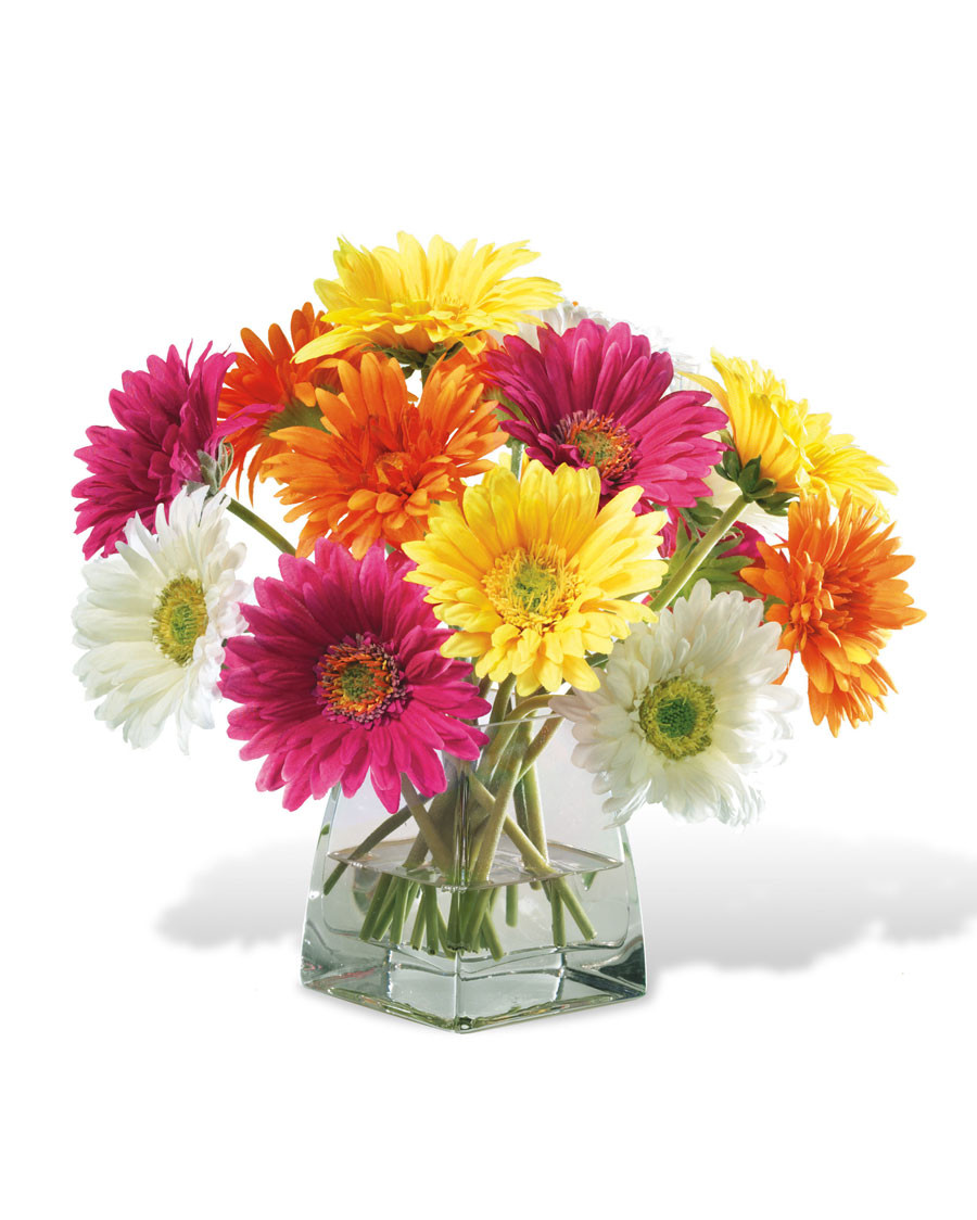 Gerbera Daisy Silk Centerpiece - Petals.com