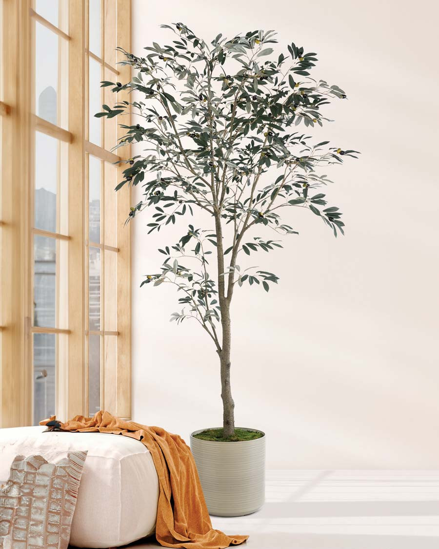 Buy incredibly lifelike, trim and airy 7' Silk Mediterranean Olive Tree ...