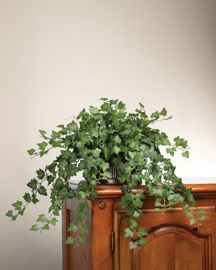 Cascading English Ivy Silk Planter - Petals.com