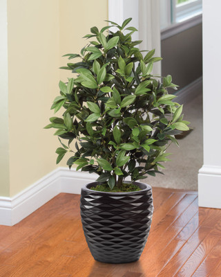 High Quality Artificial Silk Plants