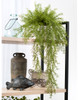 Cascading Springerii Artificial Fern Plant