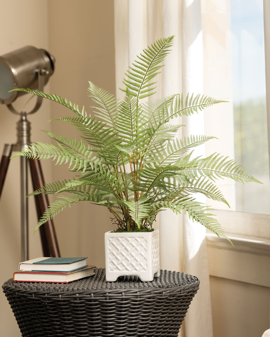High Quality Artificial Silk Plants