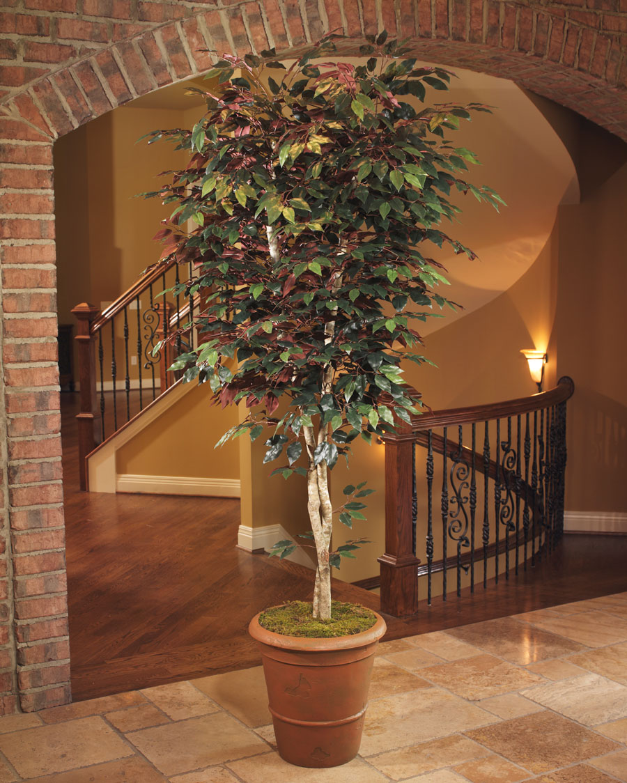 Shop Unique and Distinctive Artificial Tree Varieties at Petals