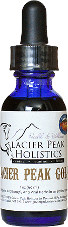 Glacier Peak Gold Tincture - WOODIN' YOU