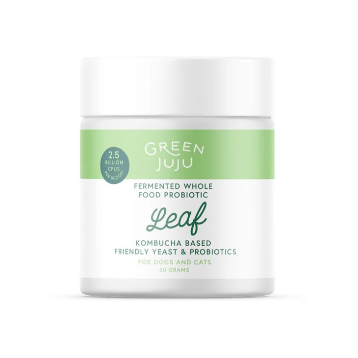 Green Juju Leaf Fermented Kombucha-Based Probiotic 30g - WOODIN' YOU