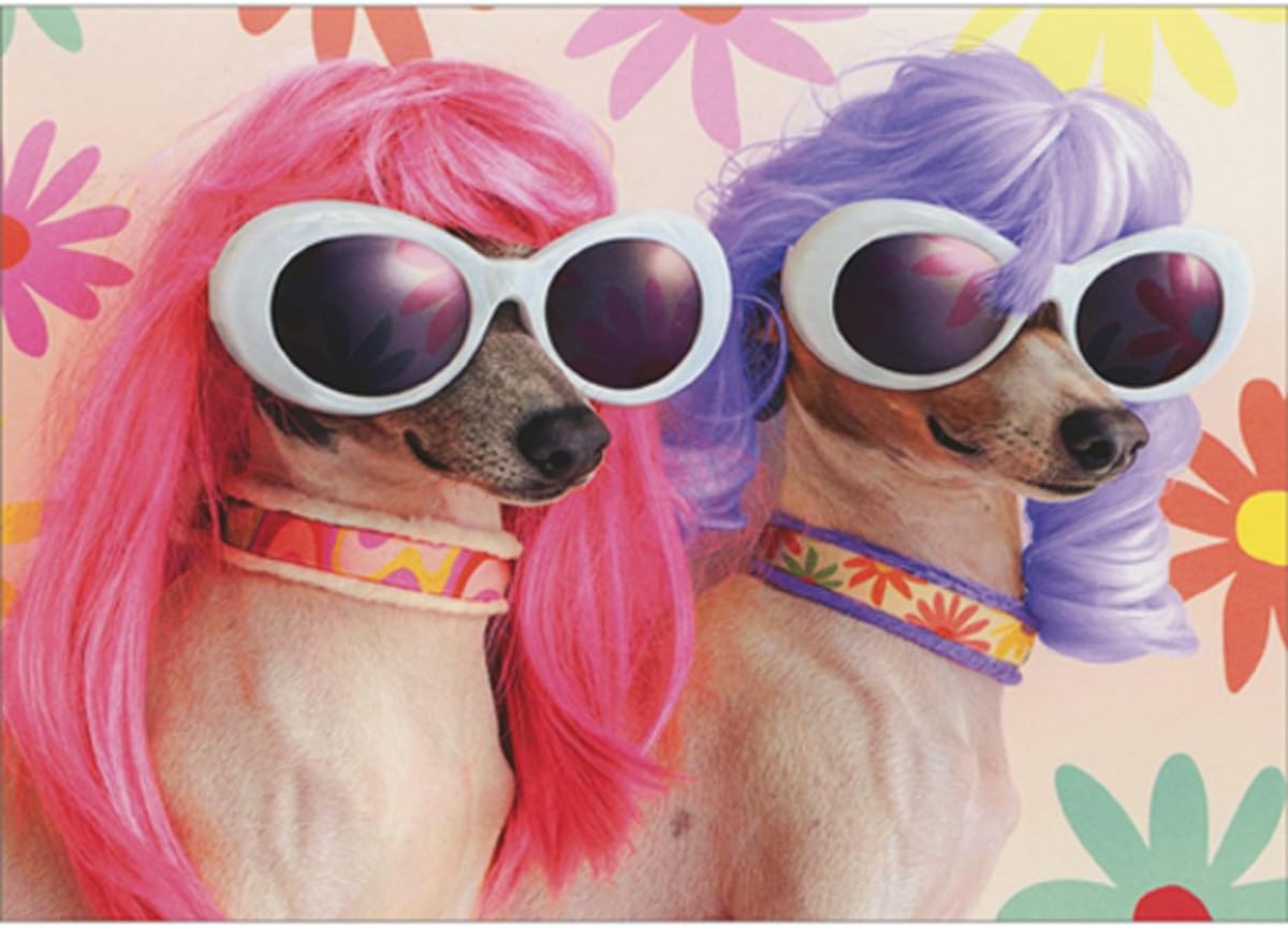 Avanti Press Two Dogs Wearing Wigs and Sunglasses Friendship Card ...