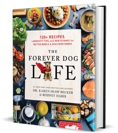 The Forever Dog Life Book - WOODIN' YOU