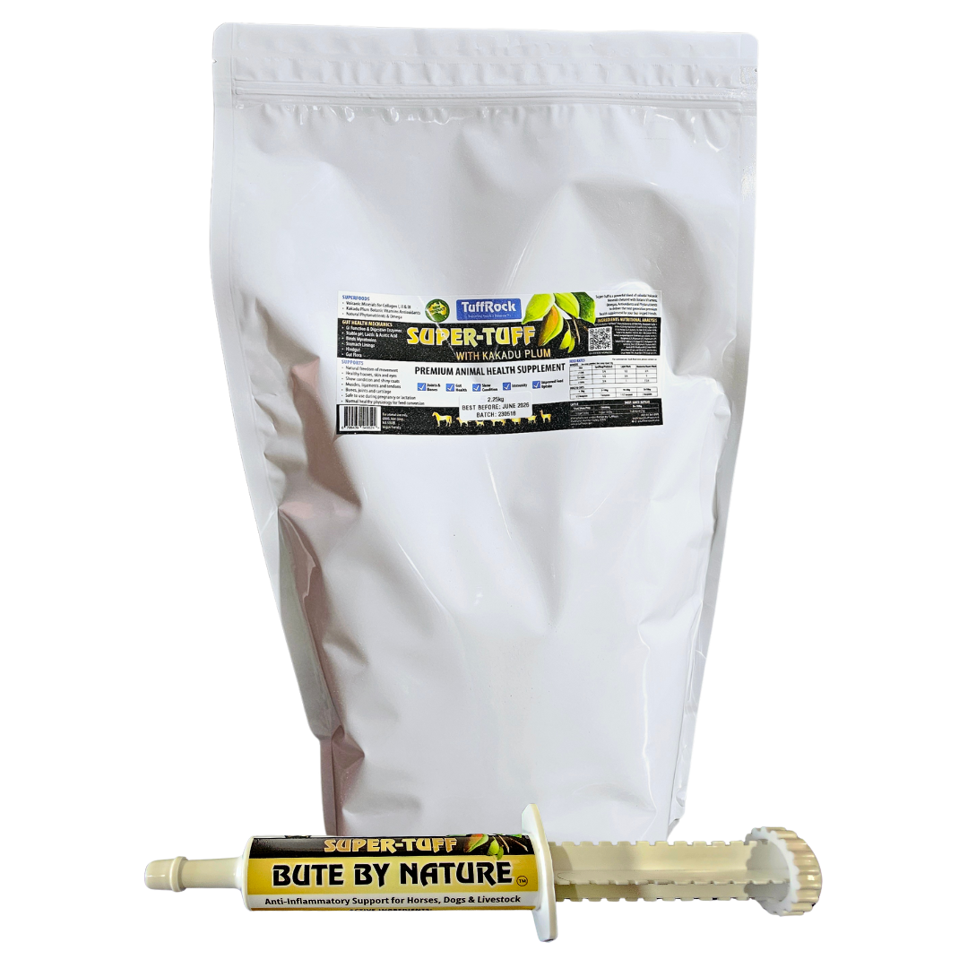 Explore New Superfoods: Boost Health Naturally | TuffRock