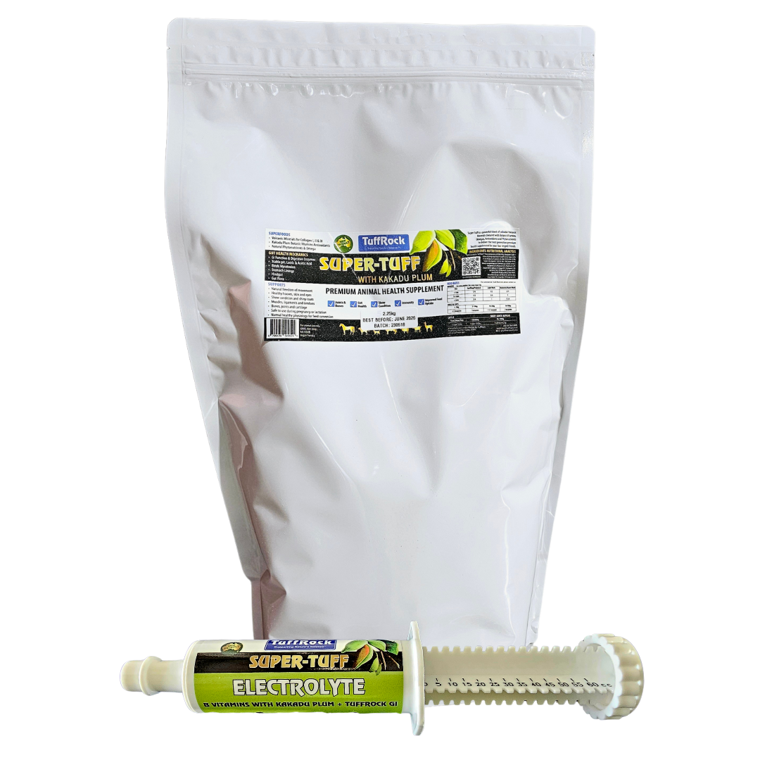 Top Natural Equine Supplements for Horse Health | TuffRock