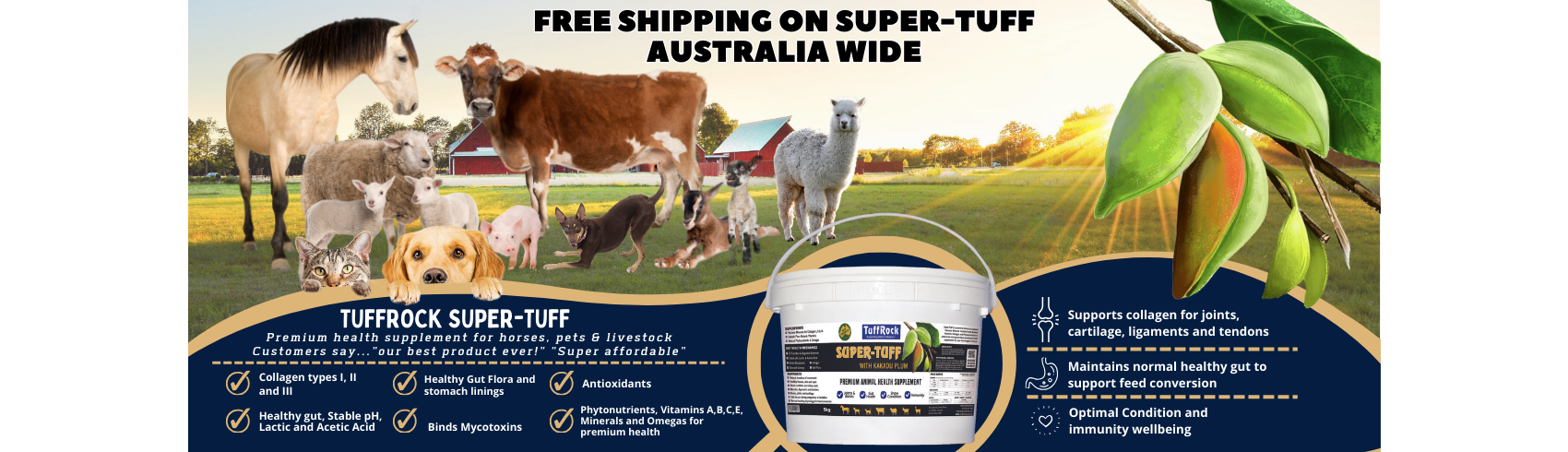 Tuffrock Online Store