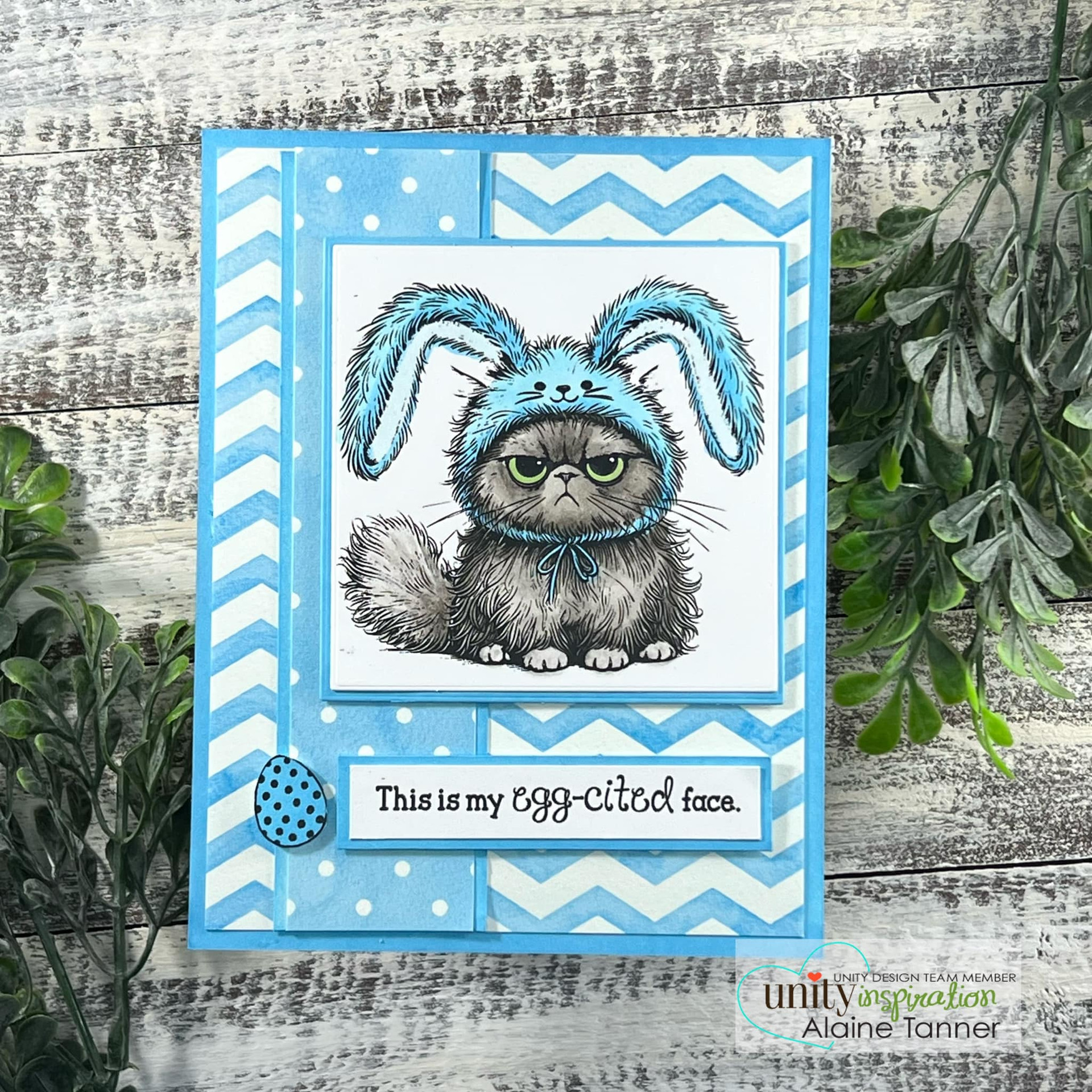 Somebunny's Grumpy Pissy Kitty