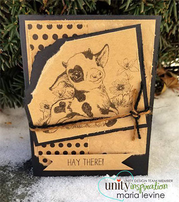 Hay There - Unity Stamp Company