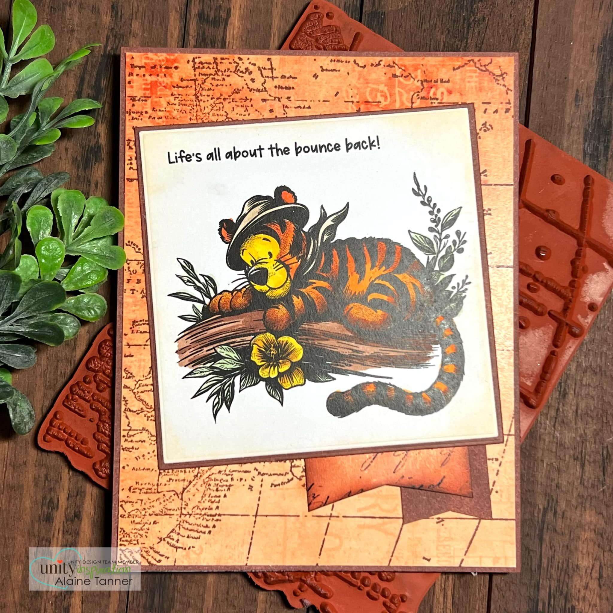 Winnie the Pooh: Bouncing Back - Tigger