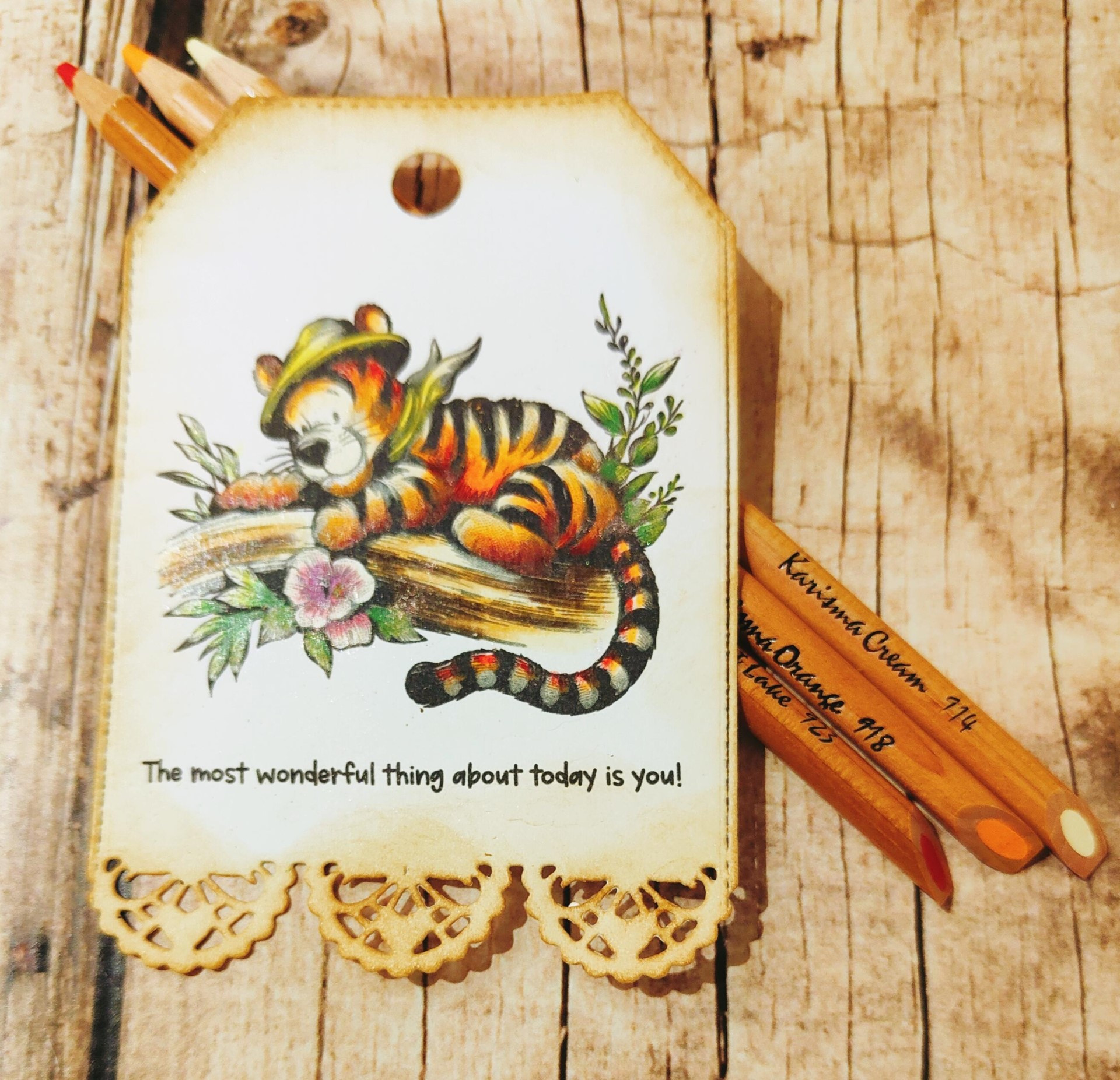 Winnie the Pooh: Bouncing Back - Tigger