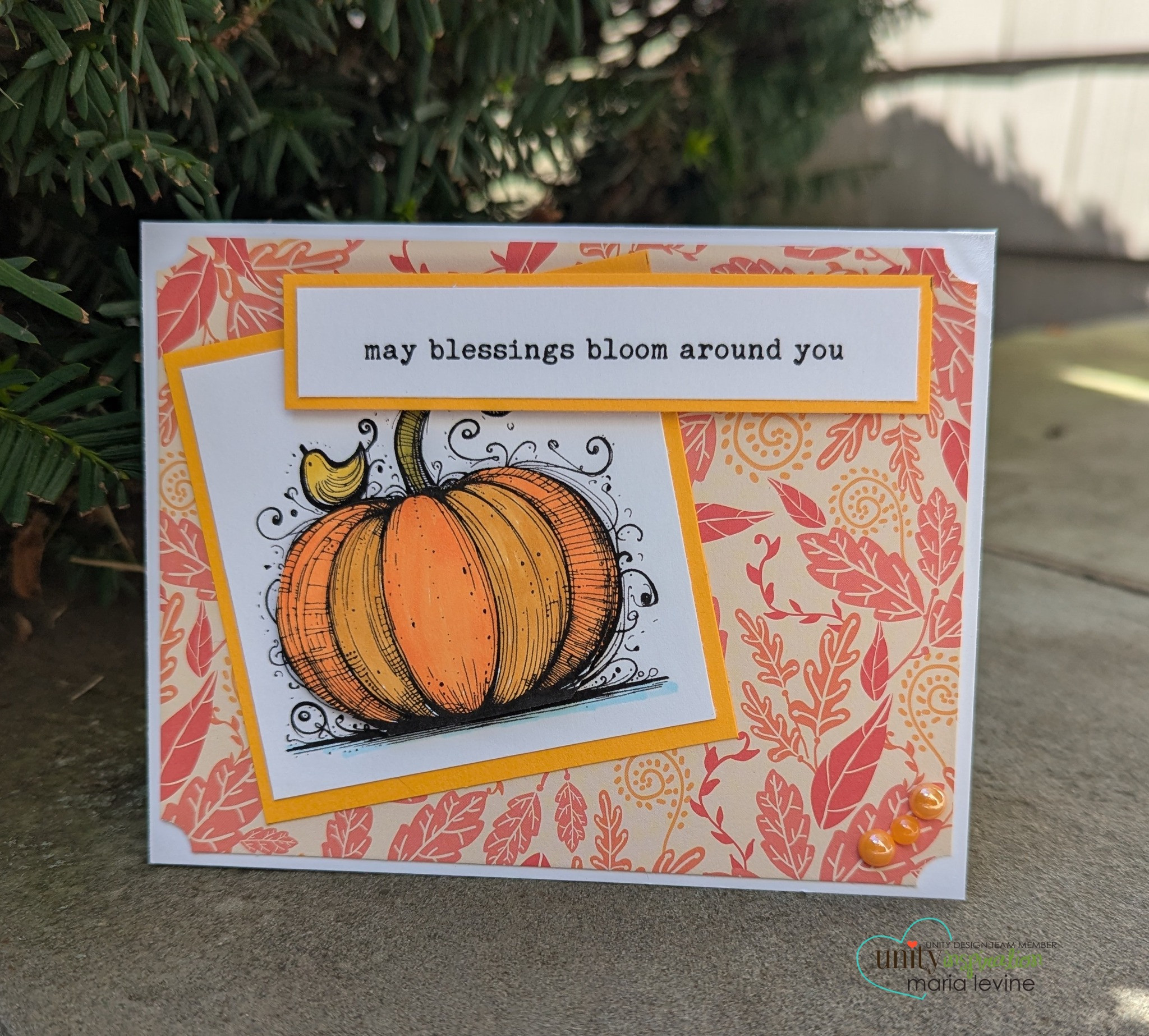 Wander and Wonder {kom 9/24}