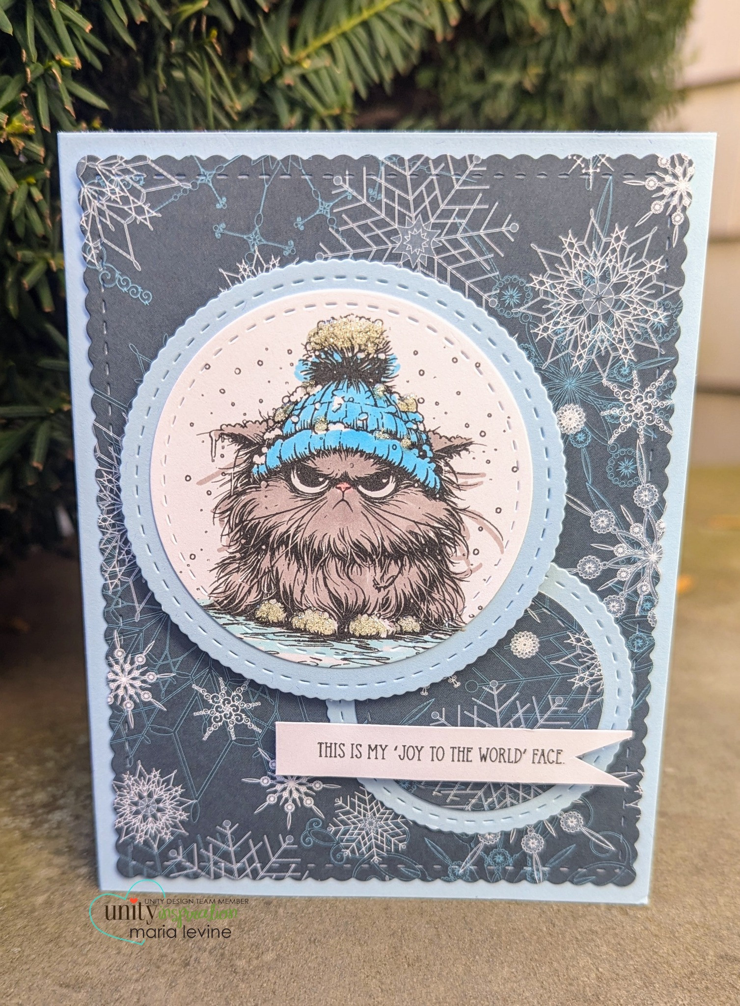 Frosty & Feisty {Pissy Kitty}