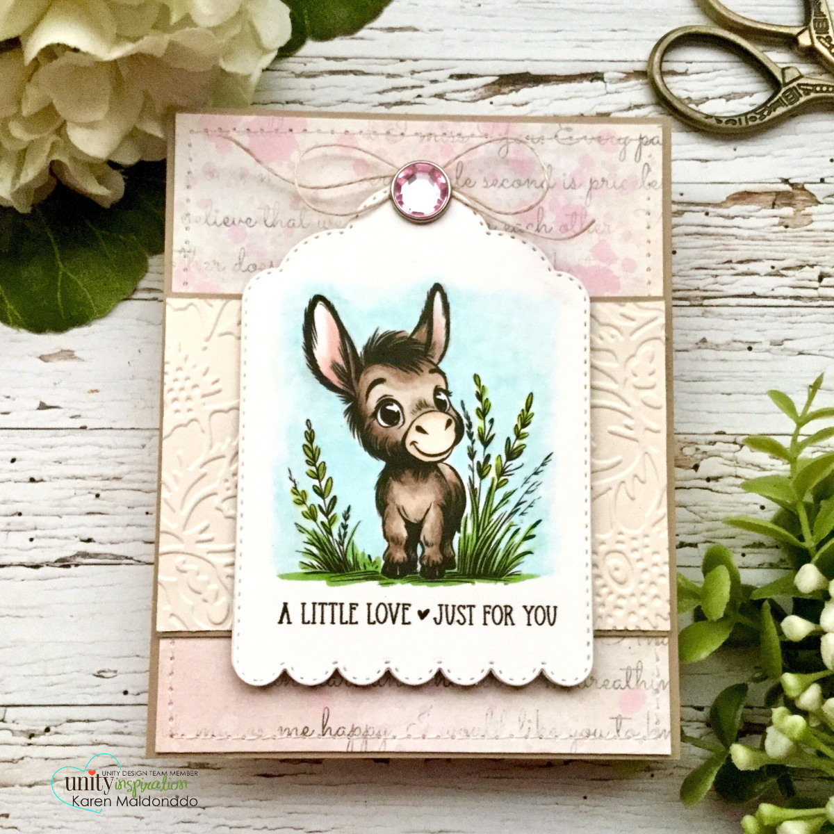 Darling Donkey Smiles