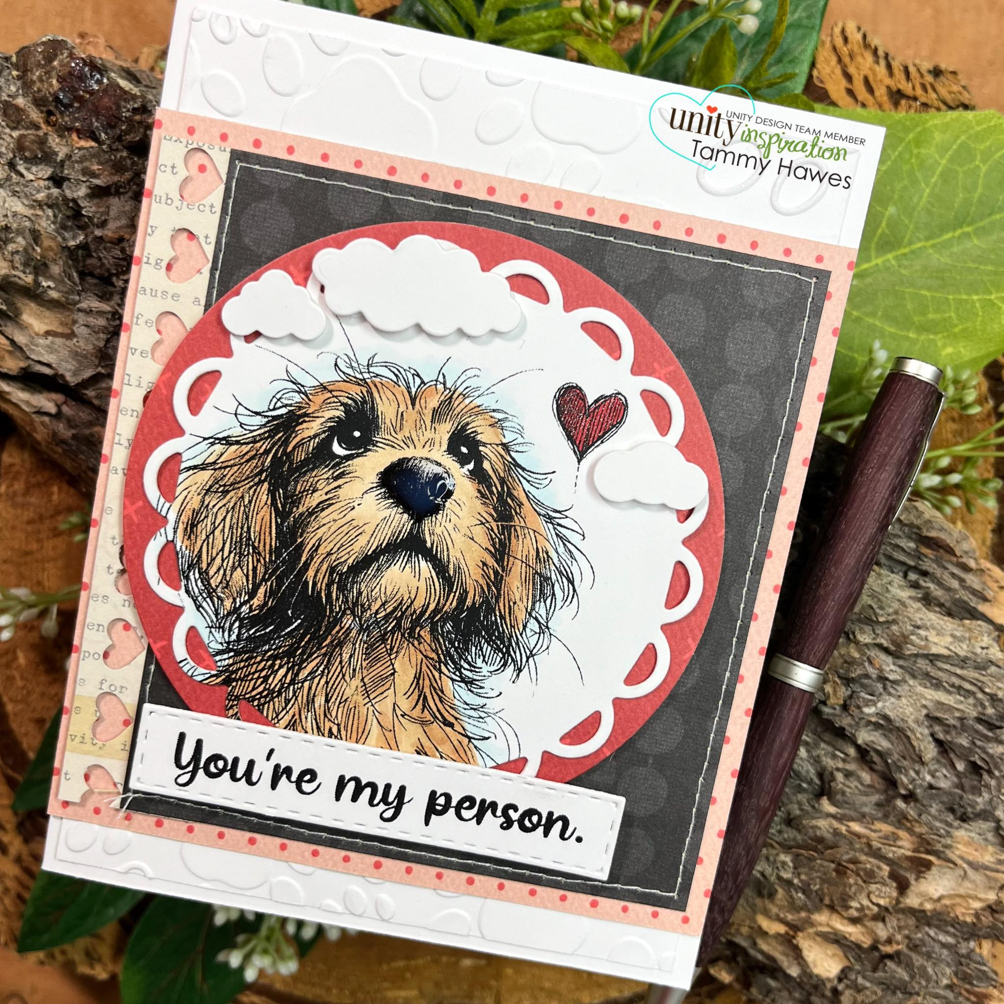 Baxter - Rescue Tales
