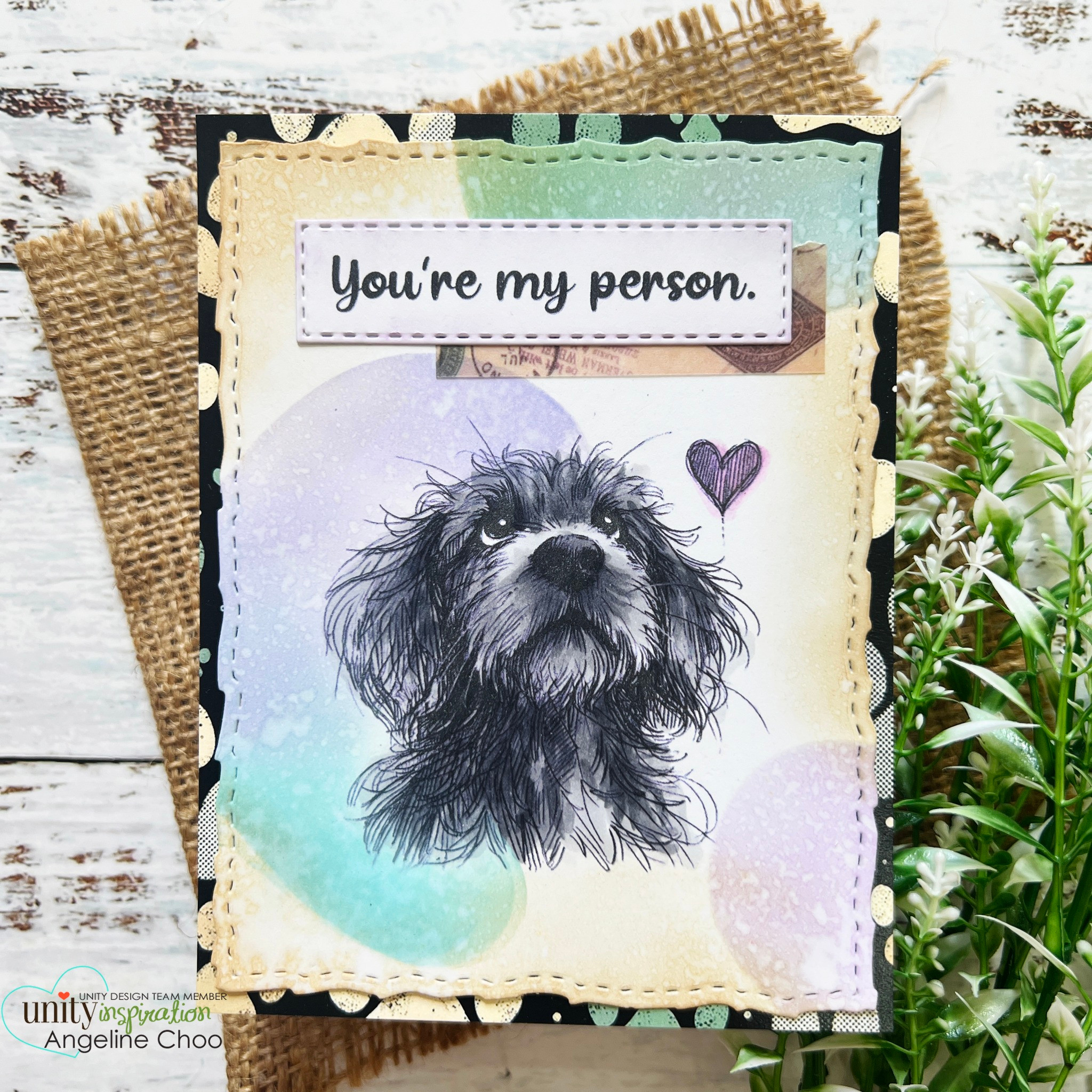 Baxter - Rescue Tales
