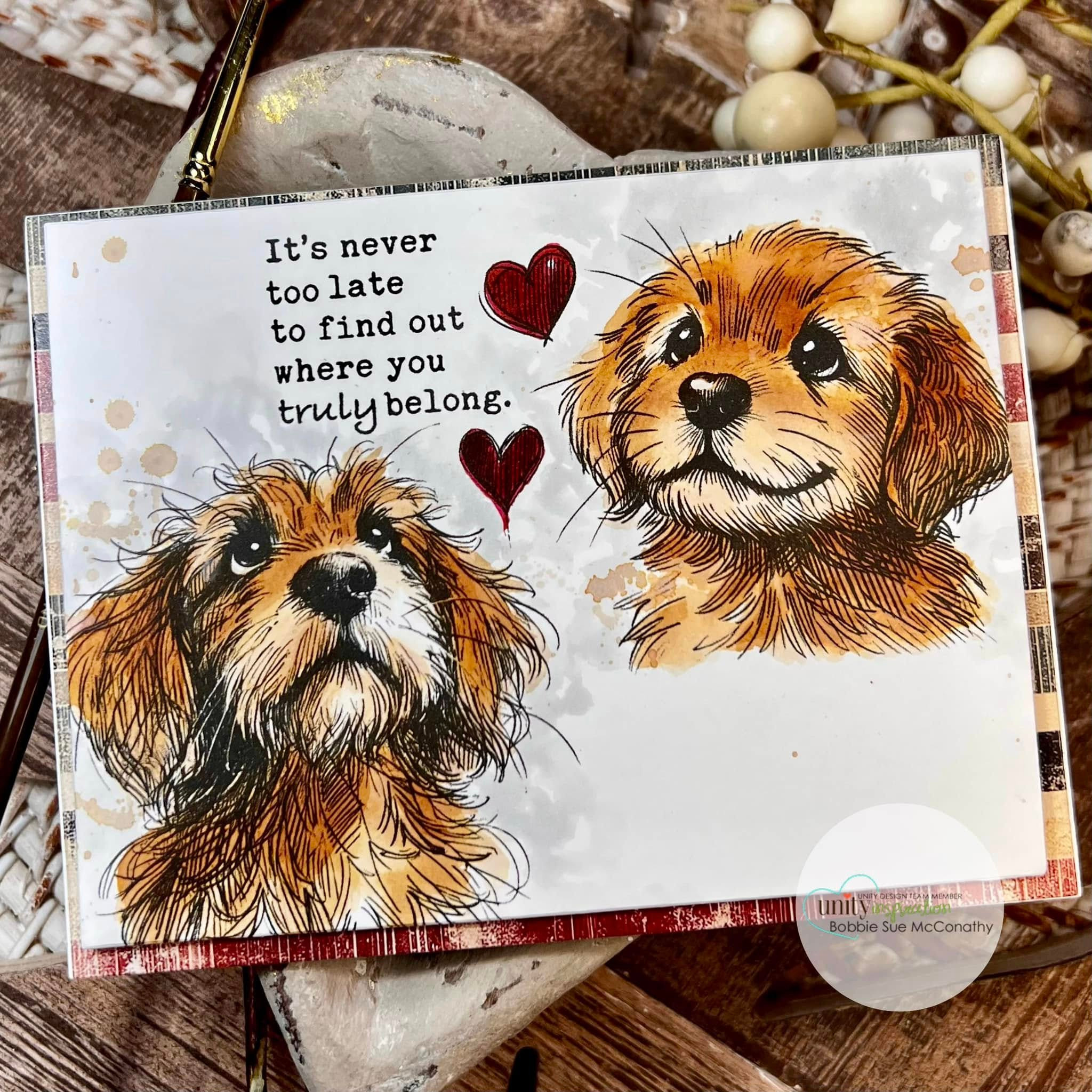 Baxter - Rescue Tales