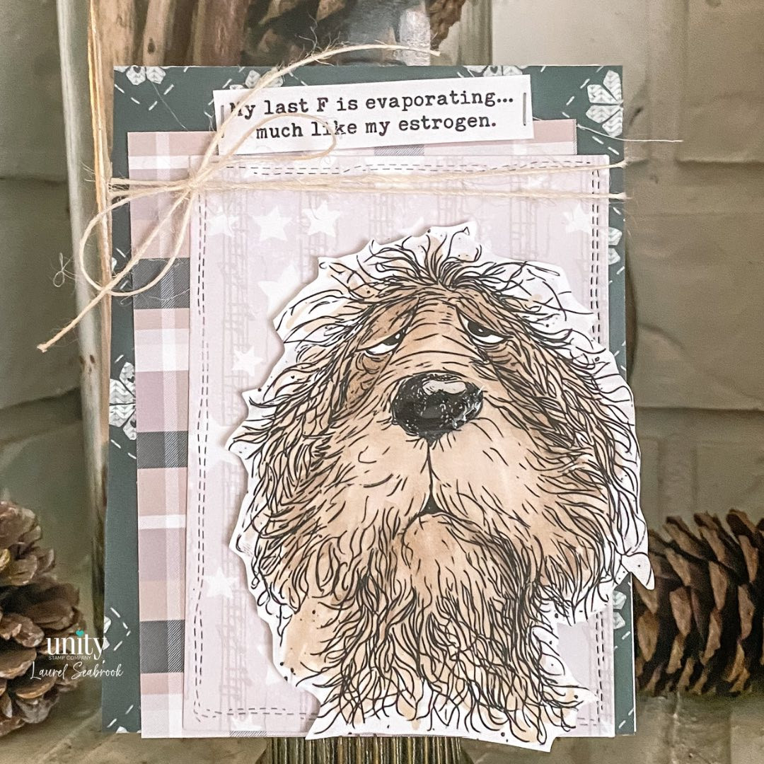 Slightly Wry Dog Red Rubber Stamp Set | Sympathy & Feel-Better Stamps