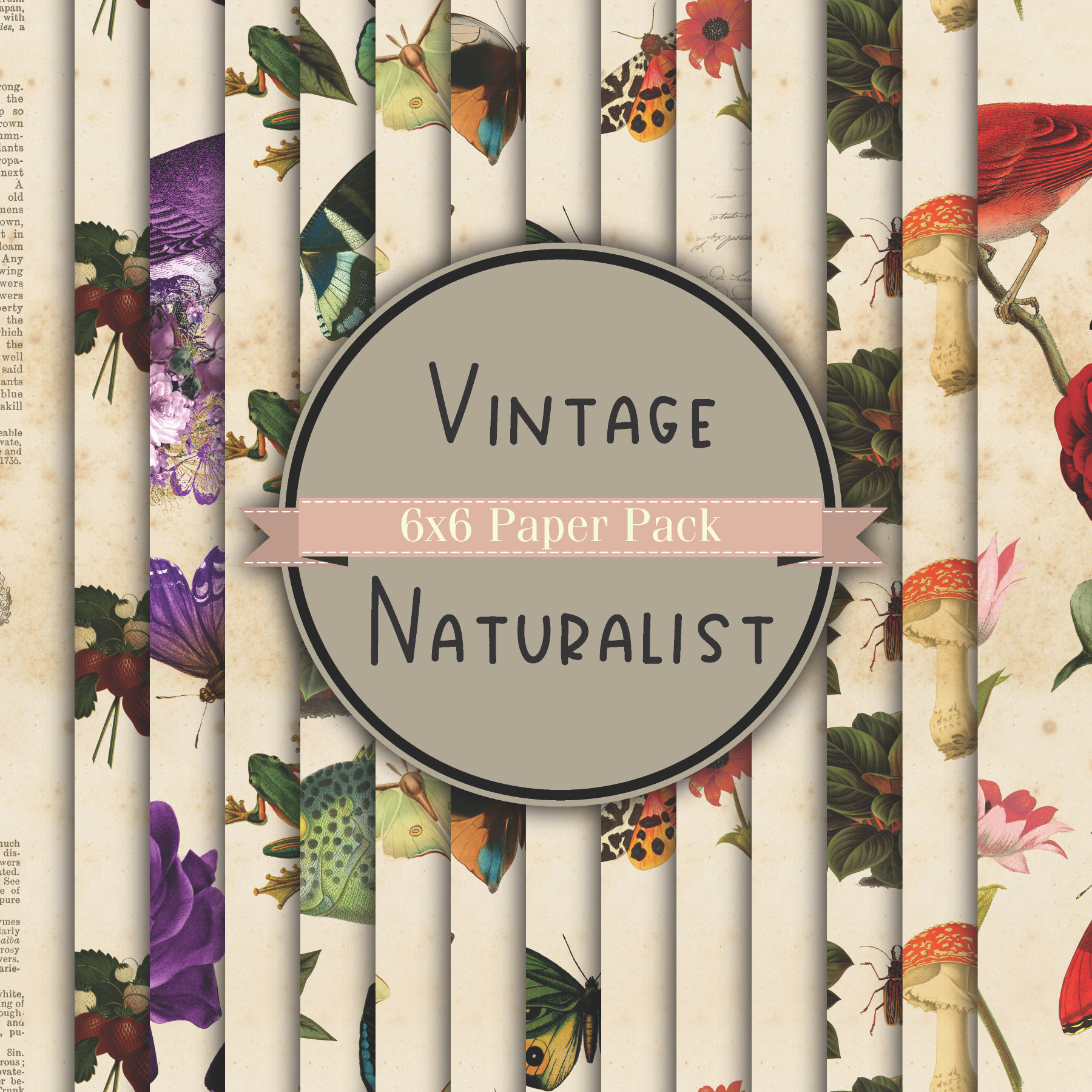 Vintage Naturalist {Paper Pack} - Unity Stamp Company