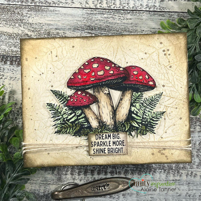 Calico Country {Paper Pack}