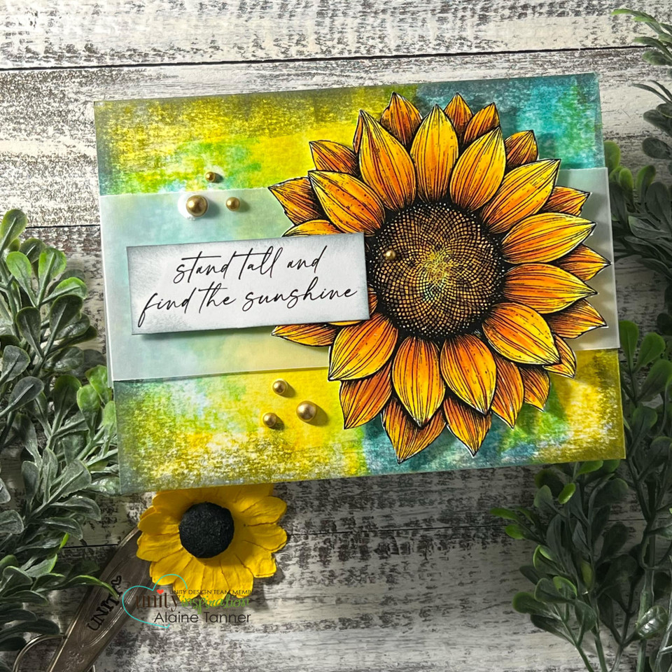 Radiant Resilience