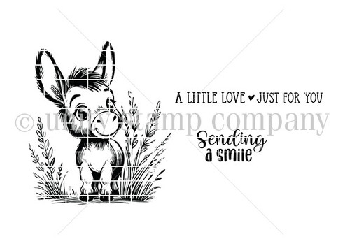Darling Donkey Smiles