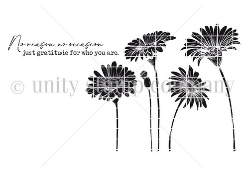 Shadowed Grace {uu 1/25}