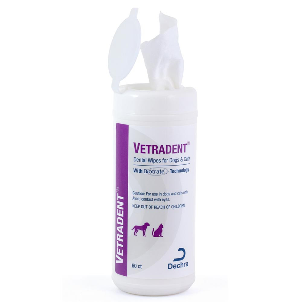 Vetradent Dental Wipes for Dogs & Cats (60 count) - [Oral Health ...