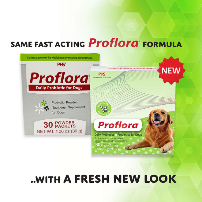 Proflora Probiotic Powder for Cats & Dogs
