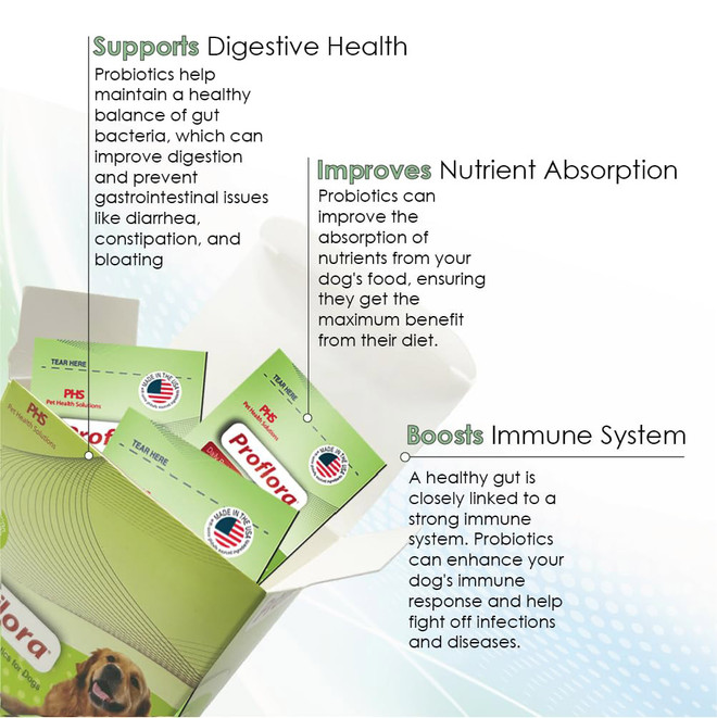 Proflora Probiotic Powder for Cats & Dogs