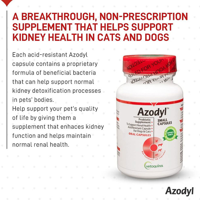 Azodyl Kidney Supplement for Cats & Dogs