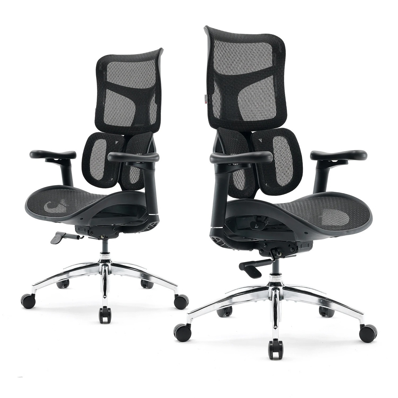 ErgospineTask Chair in Black By Lemoderno