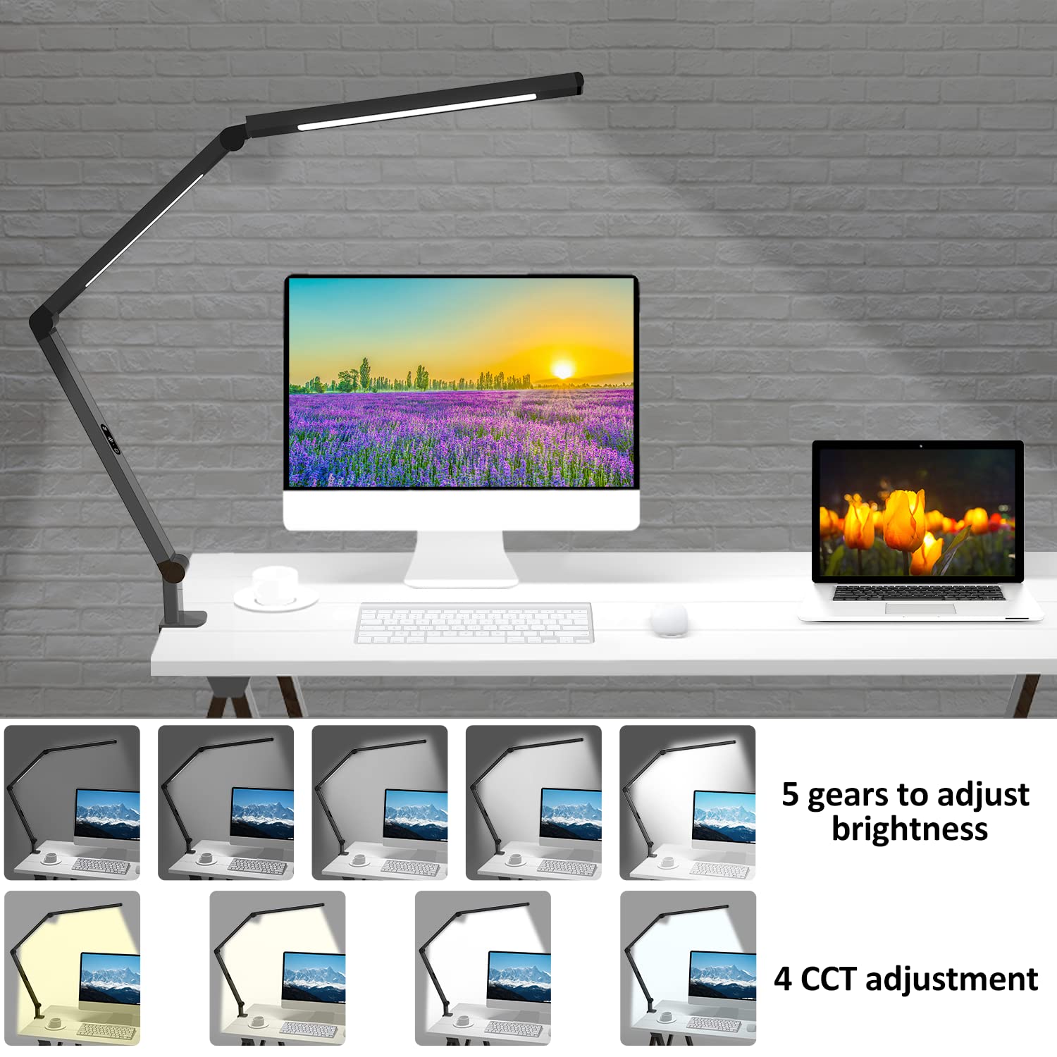 LED Desk Lamp with Clamp, Architect Desk Lamp with Dual Light and ...