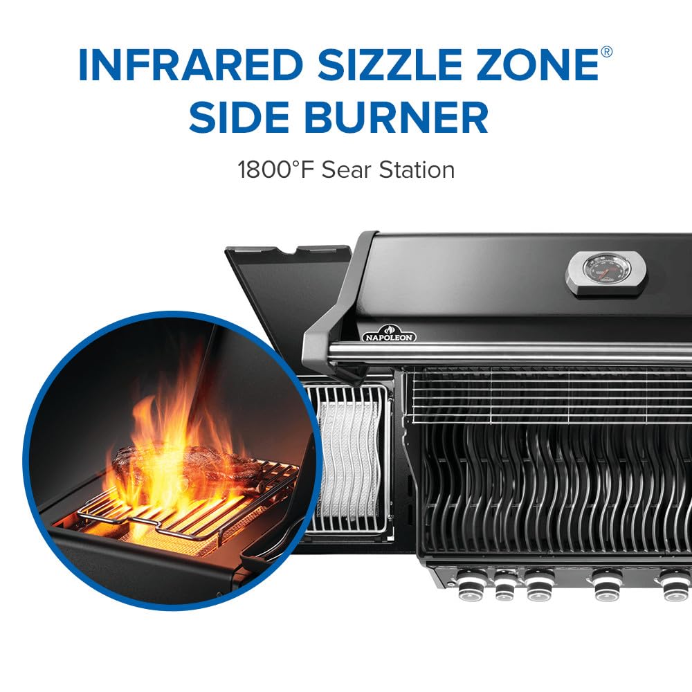 Rogue PRO 625 Propane Gas Grill with Infrared Side Burner, Black ...
