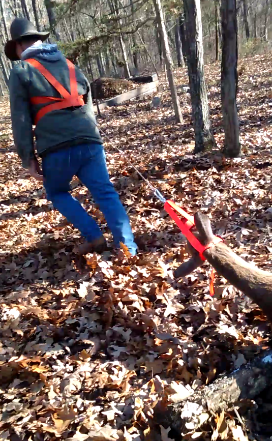 Straight Ahead Deer Drag