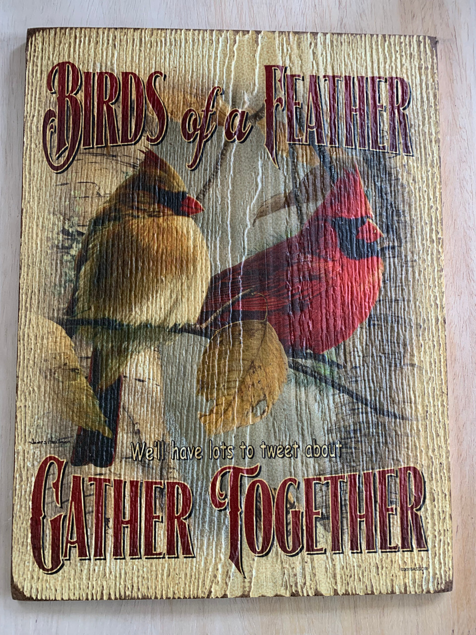BIRDS OF A FEATHER GATHER TOGETHER, WE'LL HAVE LOTS TO TWEET ABOUT - 12 ...