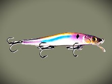 110 Jerkbait - Rainbow