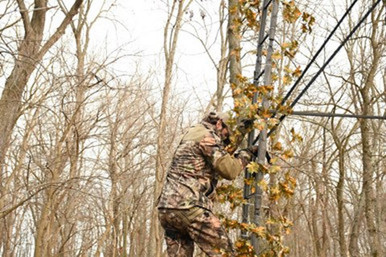 LadderFlauge Tree Stand Concealment System