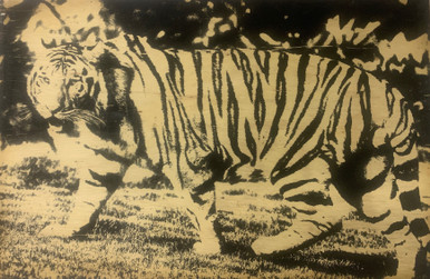 Rustic Wood Signs - Tiger (Frameless)