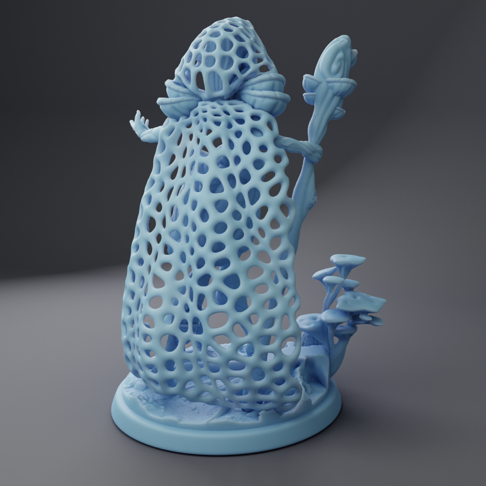 Myco, Circle of Spores Druid