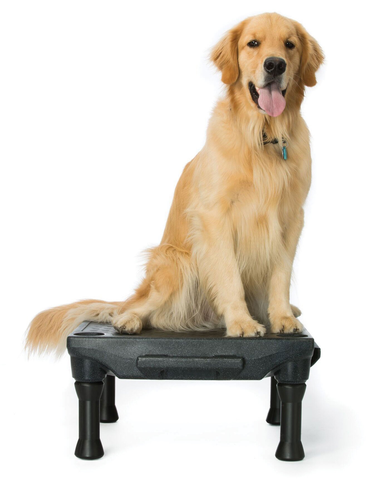 KLIMB Professional Grade Platform | K9 Focus Training - Ray Allen ...
