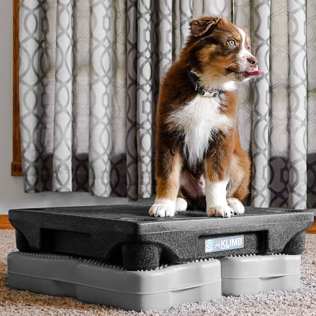 KLIMB Propel Air Platform | Balance Training For Dogs | Dog Conditioning
